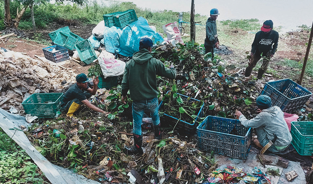 Impac+ with Shopify | Oceanworks