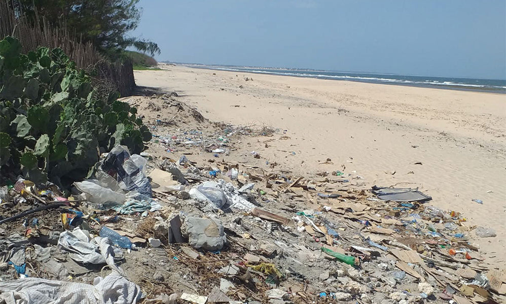 IMPACT Projects — Oceanworks