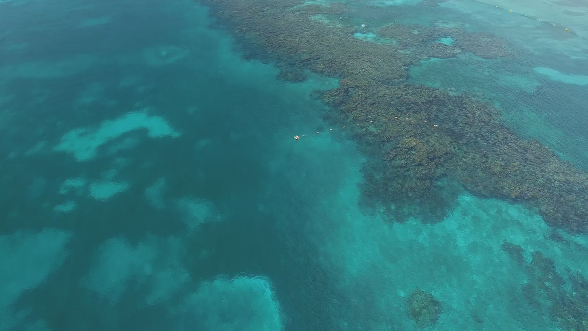 About Us | Oceanworks